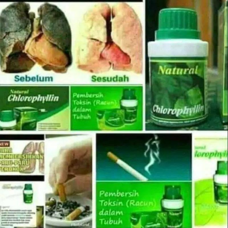 Jual Obat berhenti merokok ampuh-Obat pembersih paru paru-Herbal ...