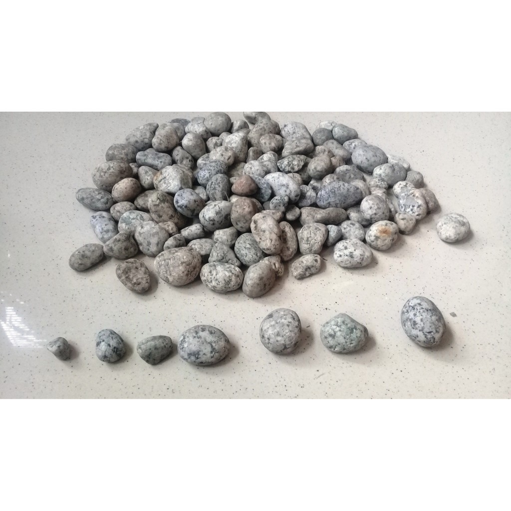 Jual Batu Koral Telur Puyuh 1-3cm 1 kg Terrarium Aquascape Taman ...