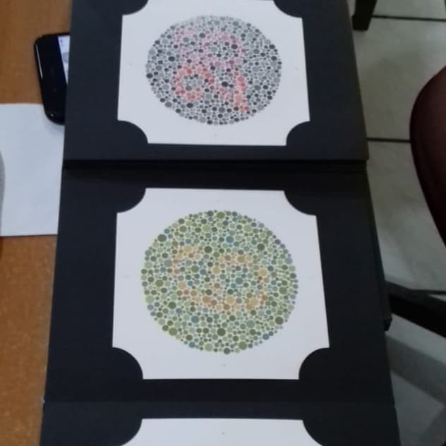 Jual buku ishihara tes buta warna 38 lembar | Shopee Indonesia