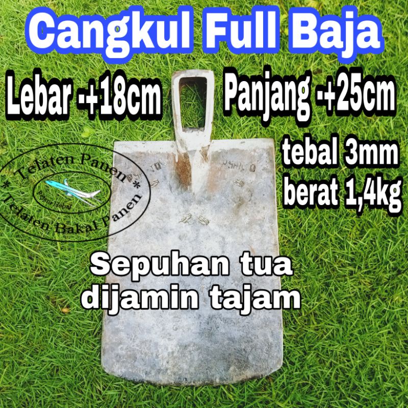 Jual Cangkul Pacul Bahan full baja cap mripat ukuran 17x25cm Indonesia ...