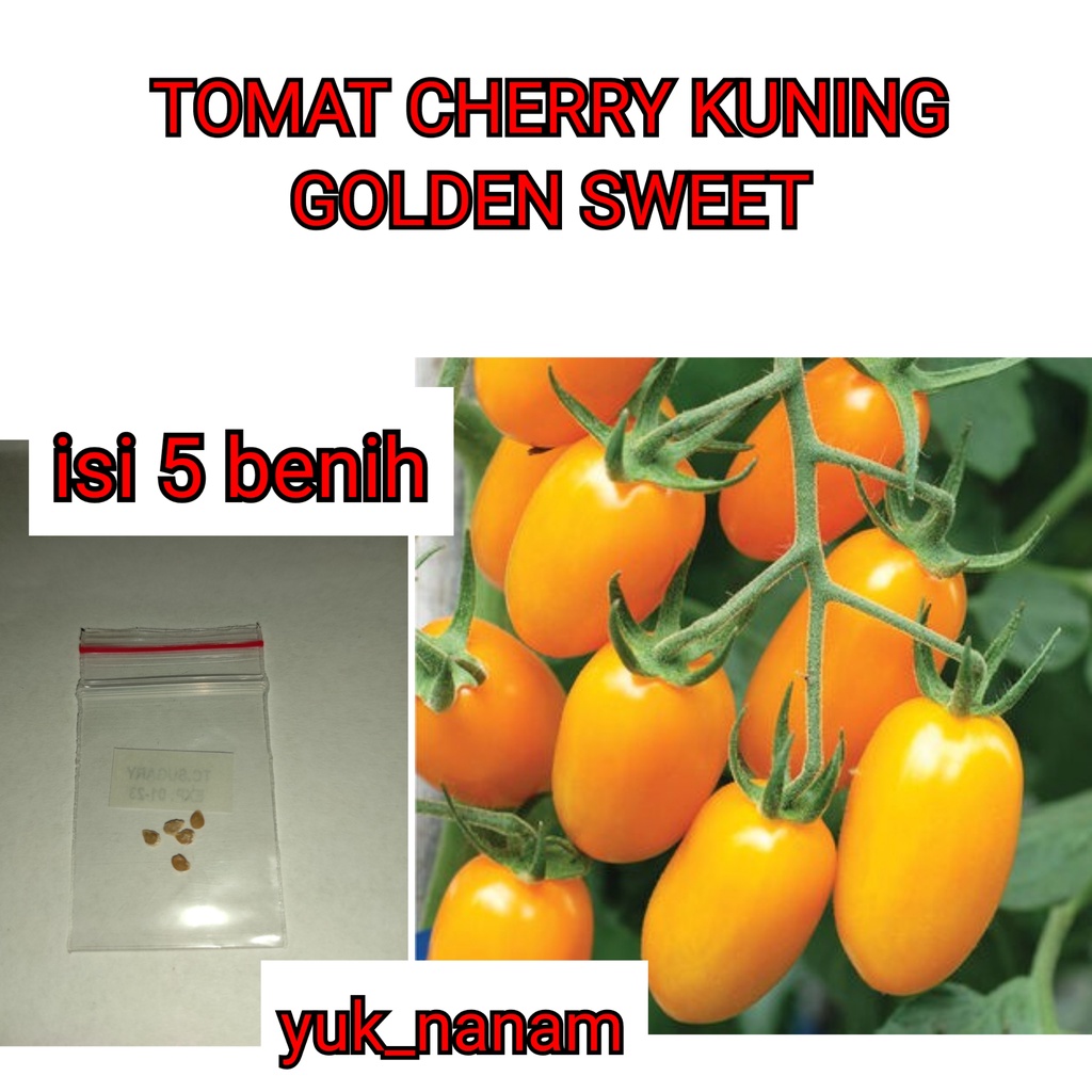 5 Benih Tomat Cherry Kuning F1 Golden Sweet Cerry Ceri - Bibit Tanaman ...