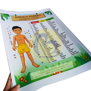 Jual Poster Anggota Tubuh/Badan - Angga Sarira Bahasa Bali | Shopee ...