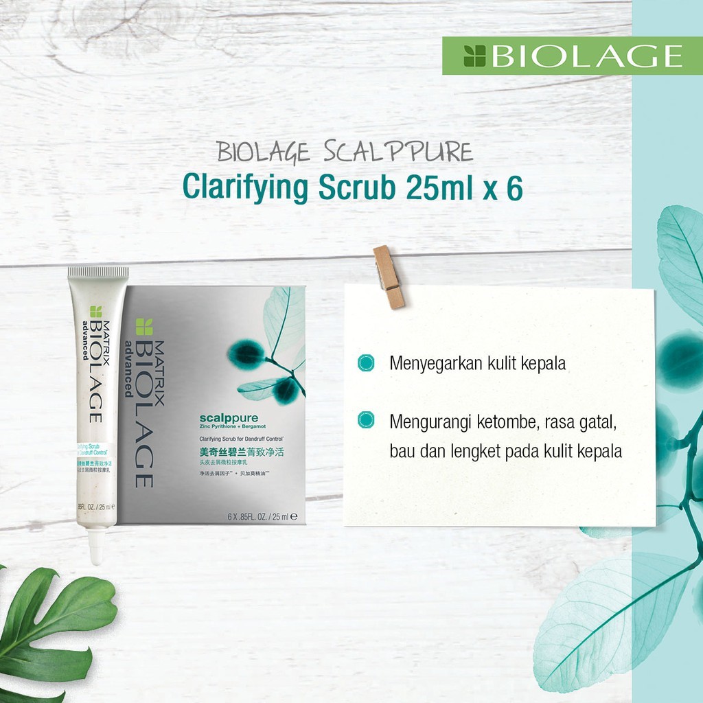 Jual Matrix Biolage Scalppure Clarifying Scrub for Dandruff Control ...