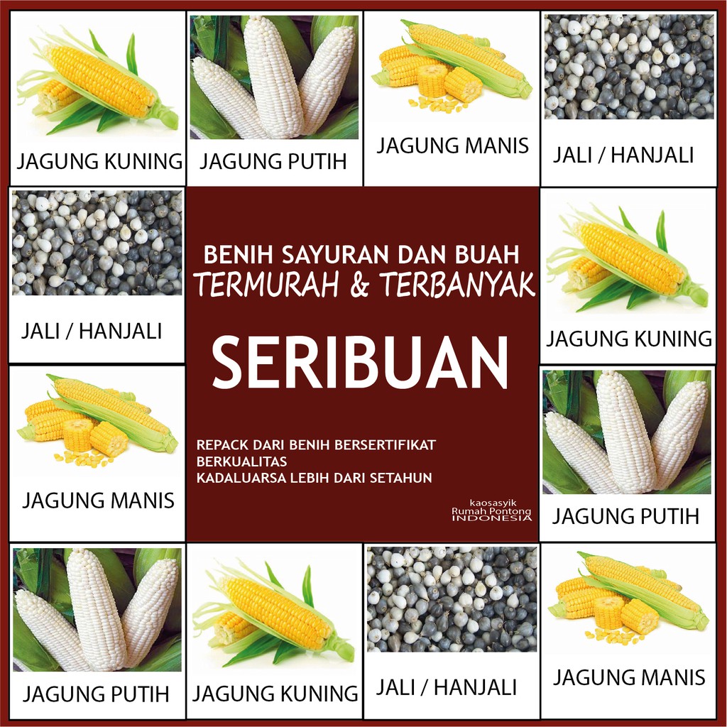 Jual BENIH TANAMAN BAHAN POKOK - JAGUNG LUMUT / JAGUNG MANIS / JALI ...