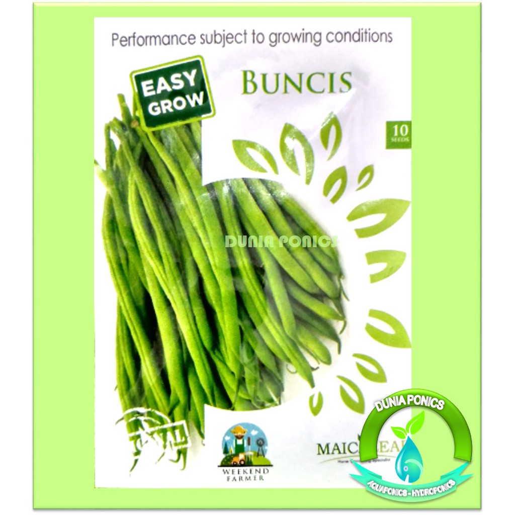 Jual 1 Pack 10 Seeds Biji Benih Bibit Tanaman Sayur BUNCIS Maica Leaf ...
