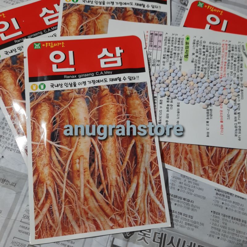 Jual benih ginseng merah korea 100 butir | Shopee Indonesia