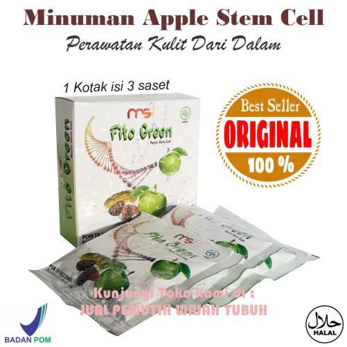 Jual MSI FITO GREEN APPLE STEAM CELL ORIGINAL | Shopee Indonesia