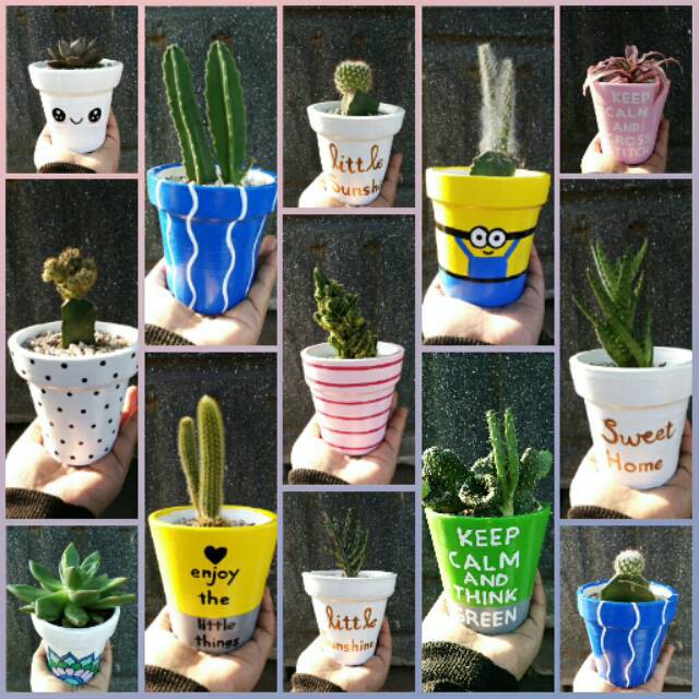 Jual KAKTUS SUKULEN PAKET TANAMAN DAN POT LUKIS TANAH LIAT MINI POLOS ...