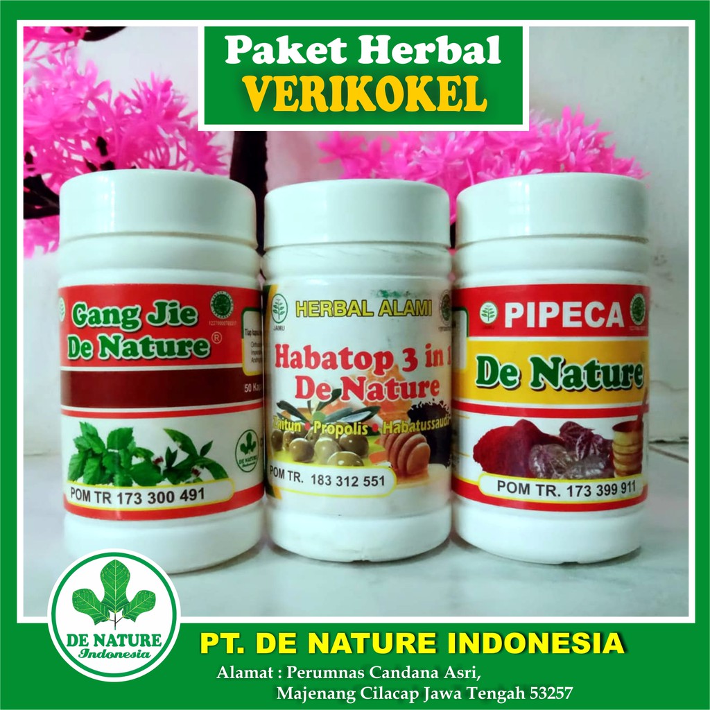 Jual Obat Varikokel Benjolan di Buah Zakar Bengkak ASLI Herbal De ...