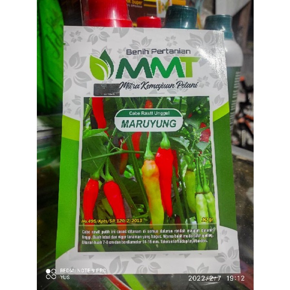 Jual benih cabai MARUYUNG dari MMT kemasan 10gr | Shopee Indonesia