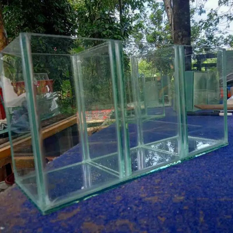 Jual soliter ikan skat/ 3 ruang akuriaum kaca mini/ soliter ikan cupang ...