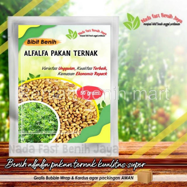 Jual Benih pakan ternak Alfalfa 50 gram High Quality | Shopee Indonesia