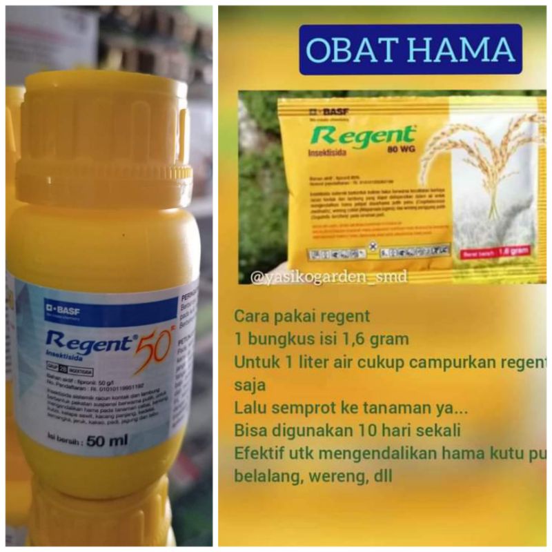 Jual Regent obat Kutu hama tanaman 50ml | Shopee Indonesia
