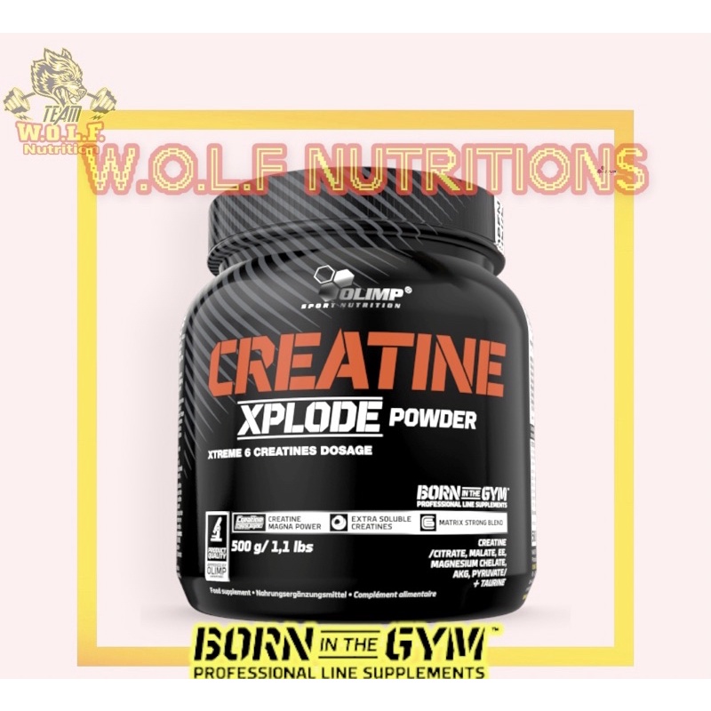 Jual OLIMP CREATINE XPLODE POWDER 500g | Shopee Indonesia