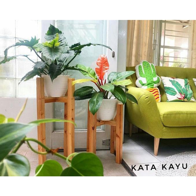 Jual Paket Couple Standing Planter Plant rak pot Kayu t= 50cm & t=70cm ...