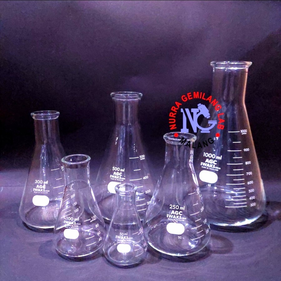 Jual Erlenmeyer Flask Ukuran 250 ml Merk Iwaki Indonesia|Shopee Indonesia