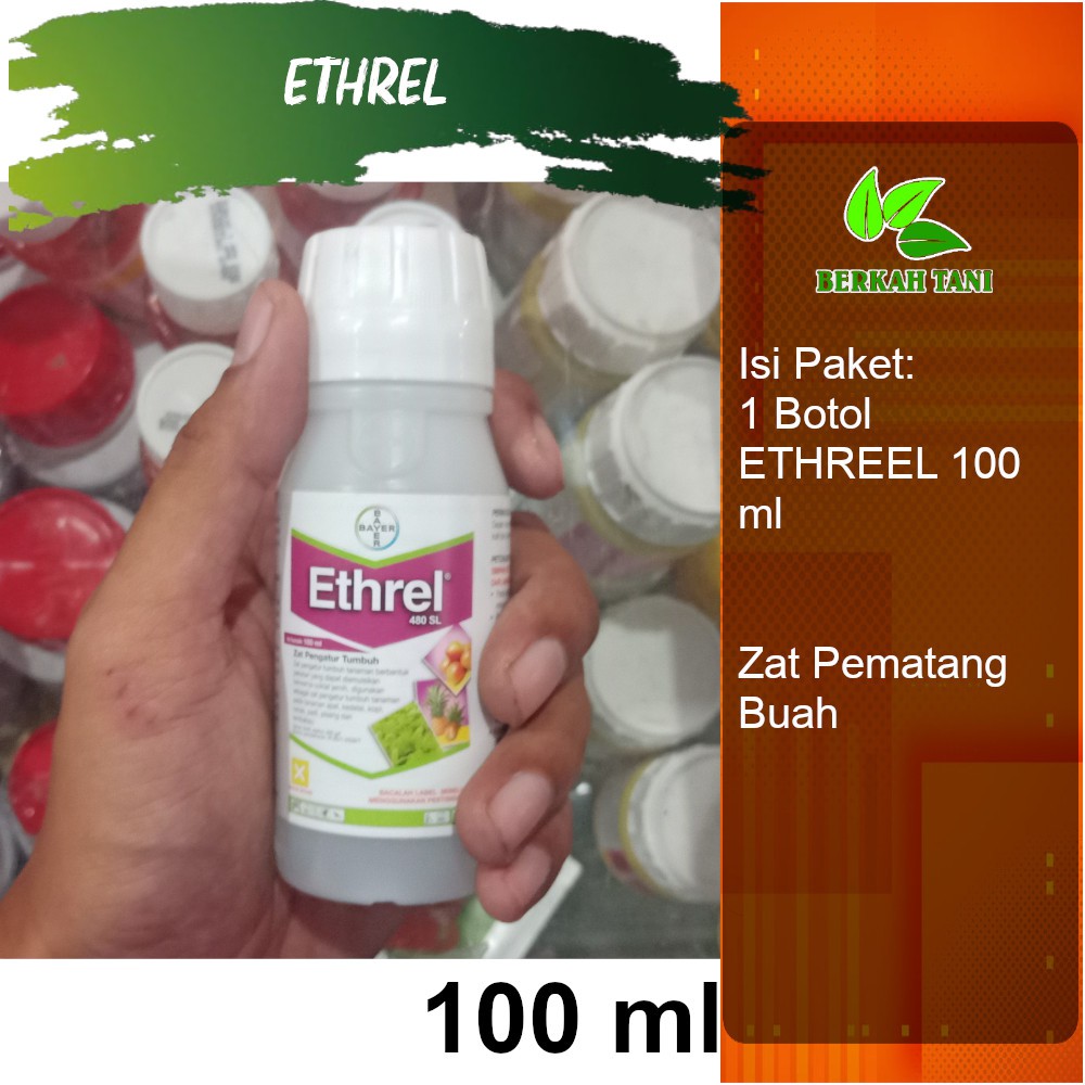 Jual Ethrel 100 ml Zat Pematang Buah | Shopee Indonesia