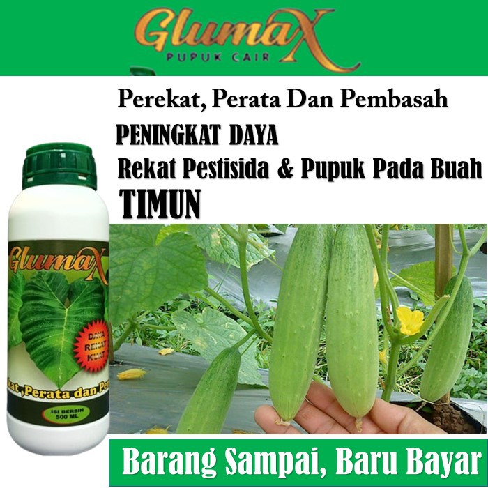 Jual PROMO 500 ML Glumax Pupuk Perekat, Perata & Pembasah Pestisida ...