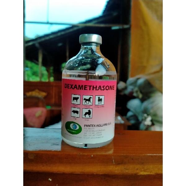 Jual DEXA PANTEX 100 ML | Shopee Indonesia