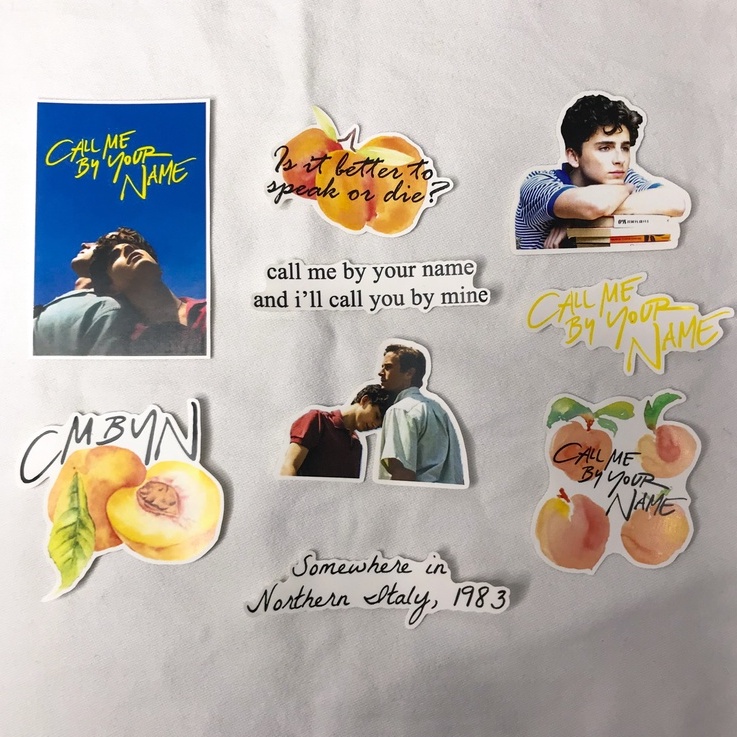 Jual Call Me By Your Name Aesthetic Sticker Pack - CMBYN Timothee ...