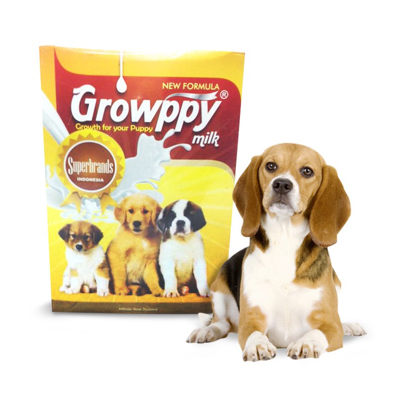 Jual Growppy Susu untuk anjing/pak isi 10sachet Indonesia|Shopee Indonesia