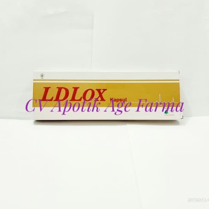 Jual LDLox Capsule isi 30 (Pyridam Farma) | Shopee Indonesia