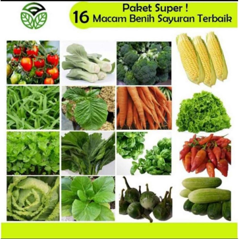 Jual paket 16 Jenis benih sayuran & Buah | Shopee Indonesia