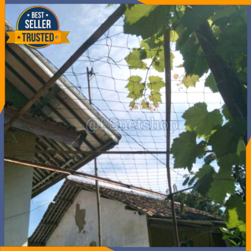 Jual Jaring Tanaman Rambat Sayuran Buah Anggur/Jaring Tanaman Rambatan ...