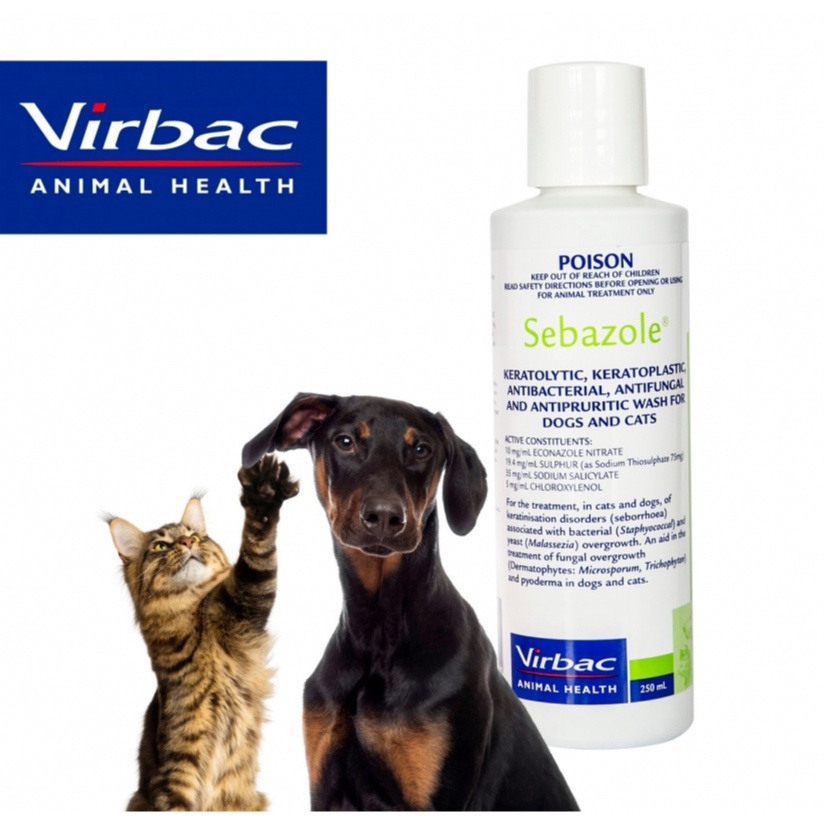 Jual SEBAZOLE Shampoo Anti Bakteri dan Jamur untuk Kucing & Anjing ...