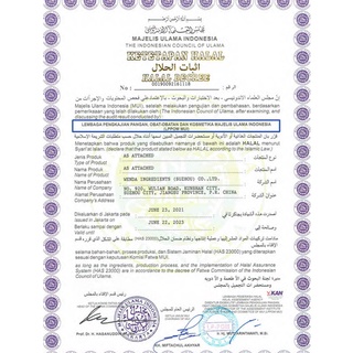 Jual Meat Glue WBS800 - Lem Daging Halal WBS 800 | Perekat Daging ...