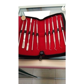 Jual Dental Instrument Kit Instrumen Diagnostic Stainless Steel Set Isi ...