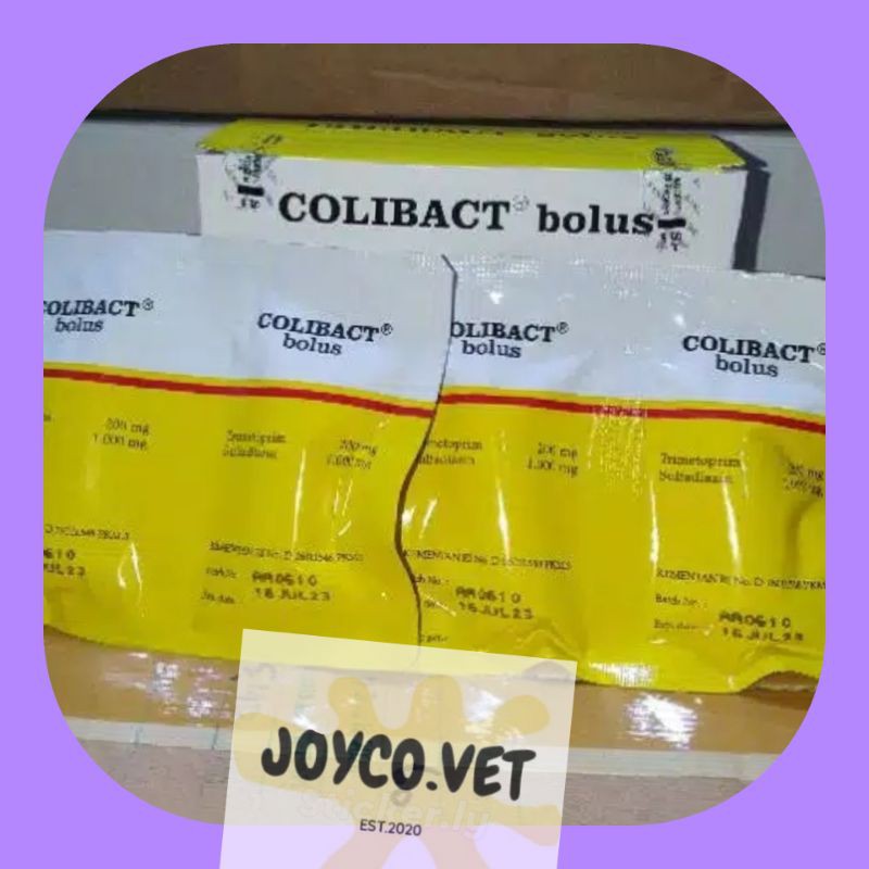 Jual COLIBACT - Sulfadiazine & Trimethoprim - 1 Bolus | Shopee Indonesia