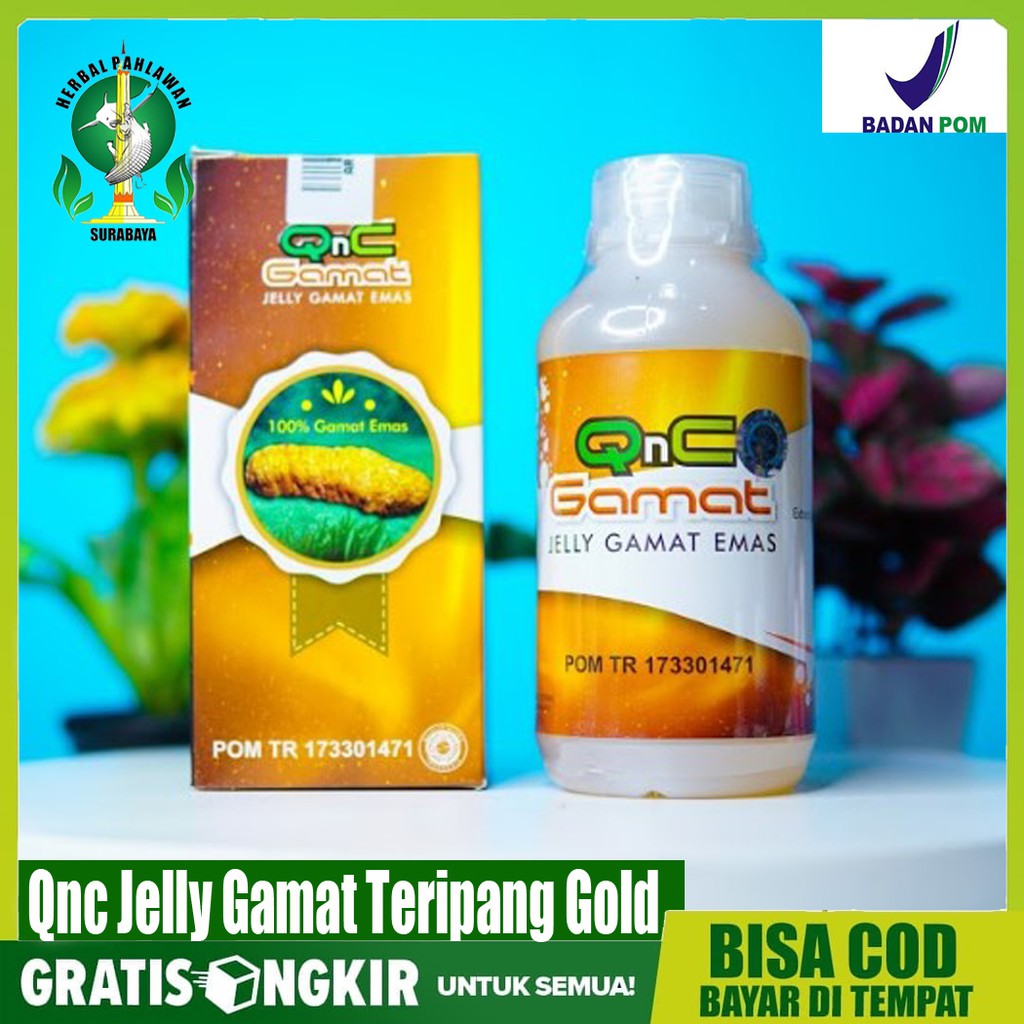 Qnc Jelly Gamat Ekstrak Teripang Herbal Emas Obat Untuk Mengatasi Asam ...