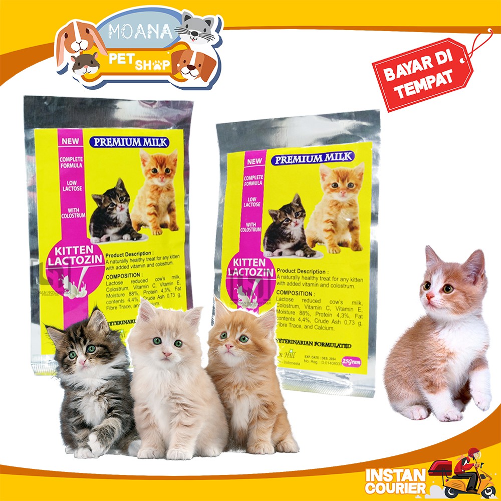 Jual SUSU ANAK KUCING KITTEN LACTOZIN CAT PREMIUM MILK | Shopee Indonesia