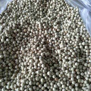 Jual Lada putih sahang merica bulat asli bangka belitung 250 gr ...