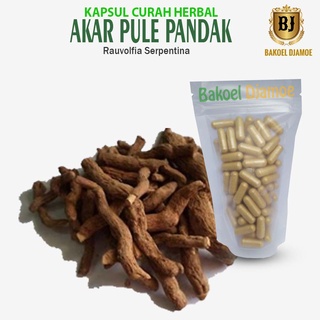 Jual Kapsul curah herbal akar pule pandak kapsul herbal hipertensi ...