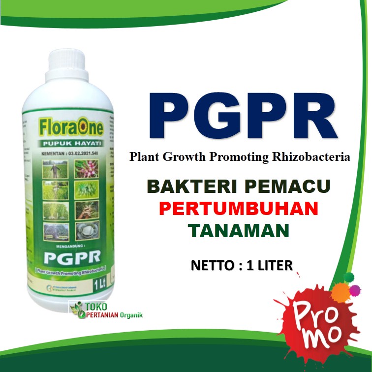 Jual TRICHODERMA Pupuk Hayati Obat penyakit akar kelapa sawit, PGPR ... Jual TRICHODERMA Pupuk Hayati Obat penyakit akar kelapa sawit, PGPR ...