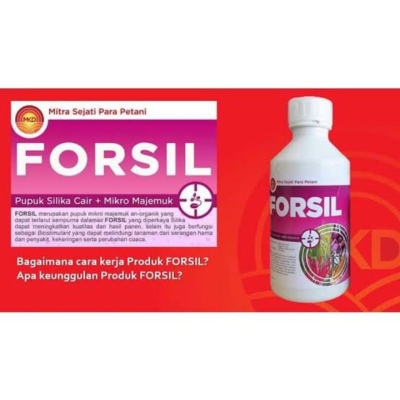 Harga Forsil Terbaru Agustus 2023 |BigGo Indonesia