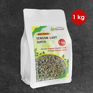 Jual Benih pohon sengon laut super 1 Kg original / bibit benih albasia ...