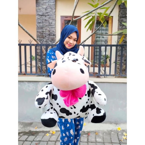 Jual Boneka Sapi Lucu Ukuran Sedang 50cm SNI Murah Untuk Kado Wisuda ...