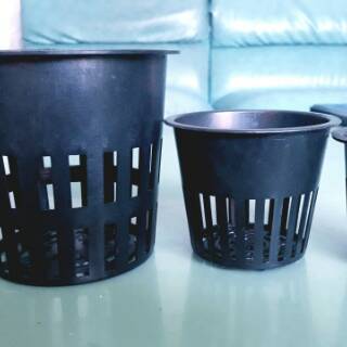 Jual NetPot BESAR Hidroponik/net pot Hidroponic Jumbo 10cm | Shopee ...