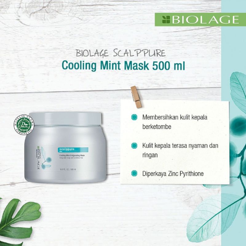Jual Masker Matrix Biolage Cooling Mint 500 mL | Shopee Indonesia