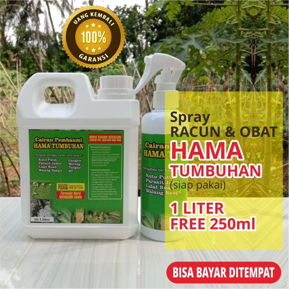 Jual PEMBASMI HAMA TANAMAN 1 Liter (FREE 250ml) | Kutu Putih Indonesia ...