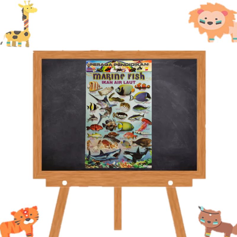 Jual POSTER MARINE FISH | Shopee Indonesia