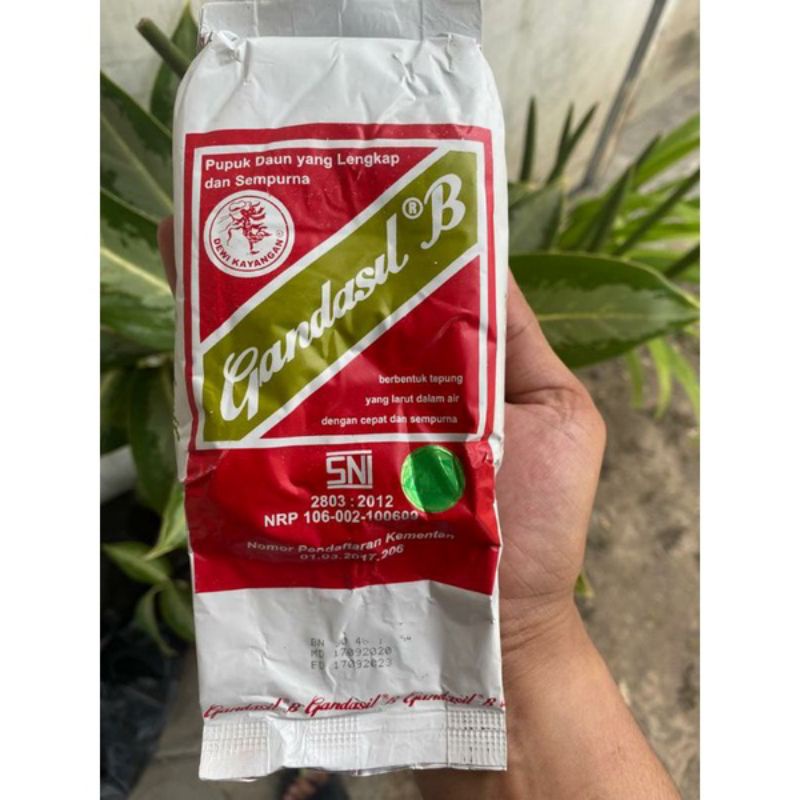 Jual Gandasil B 500 gram | Shopee Indonesia