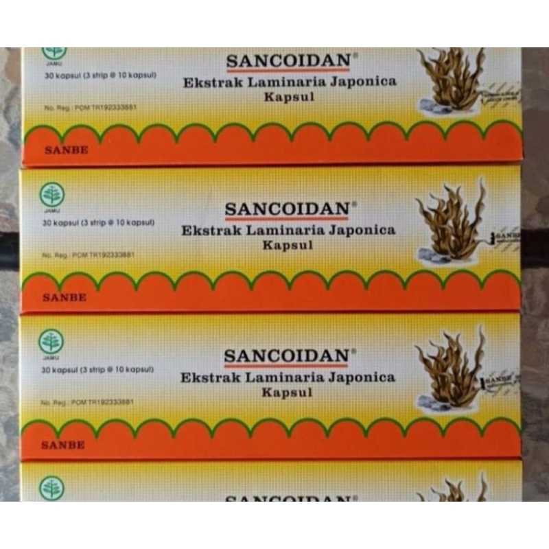 Jual sancoidan isi 30 kapsul | Shopee Indonesia