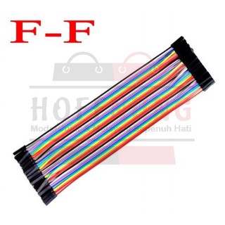 Jual Kabel Dupont Jumper Pelangi Arduino Female To Female 20cm | Shopee ...