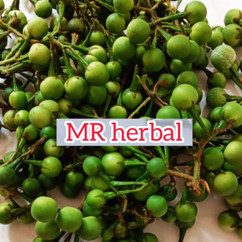 Jual Jual Buah takokak atau cepokak 250 gram | Shopee Indonesia