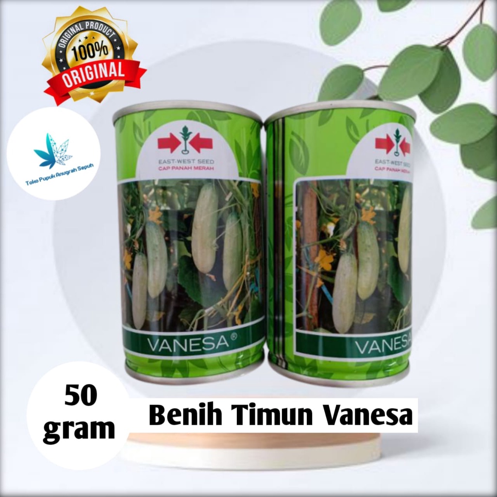 Jual Benih timun vanesa 50 gram cap panah merah Kemasan Kaleng | Shopee ...