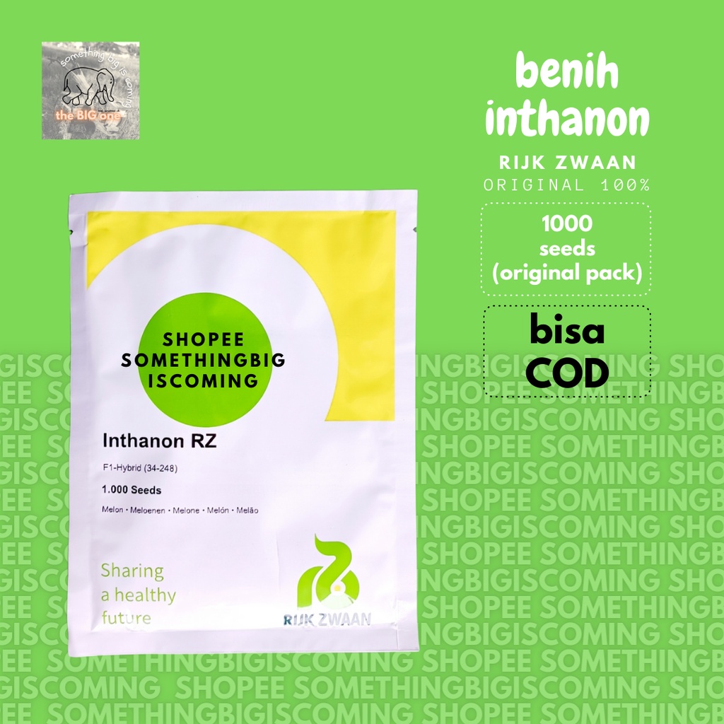 Jual Bibit Benih Melon RZ Inthanon F1 Hybrid 1000 Seeds Original Pack ...